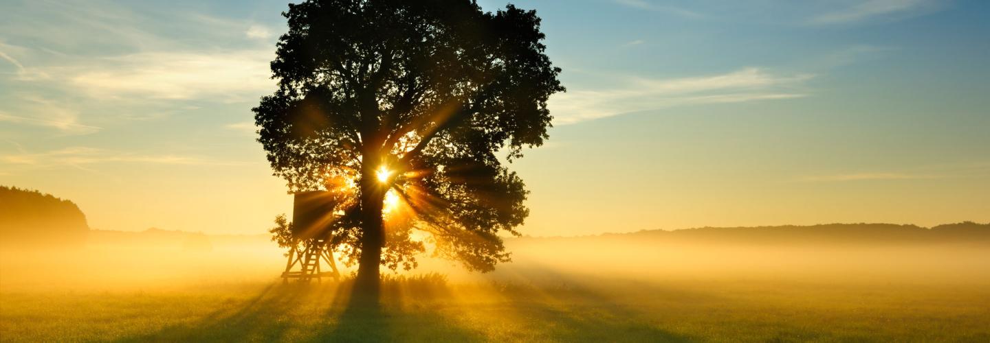 Home | Dominion Partners