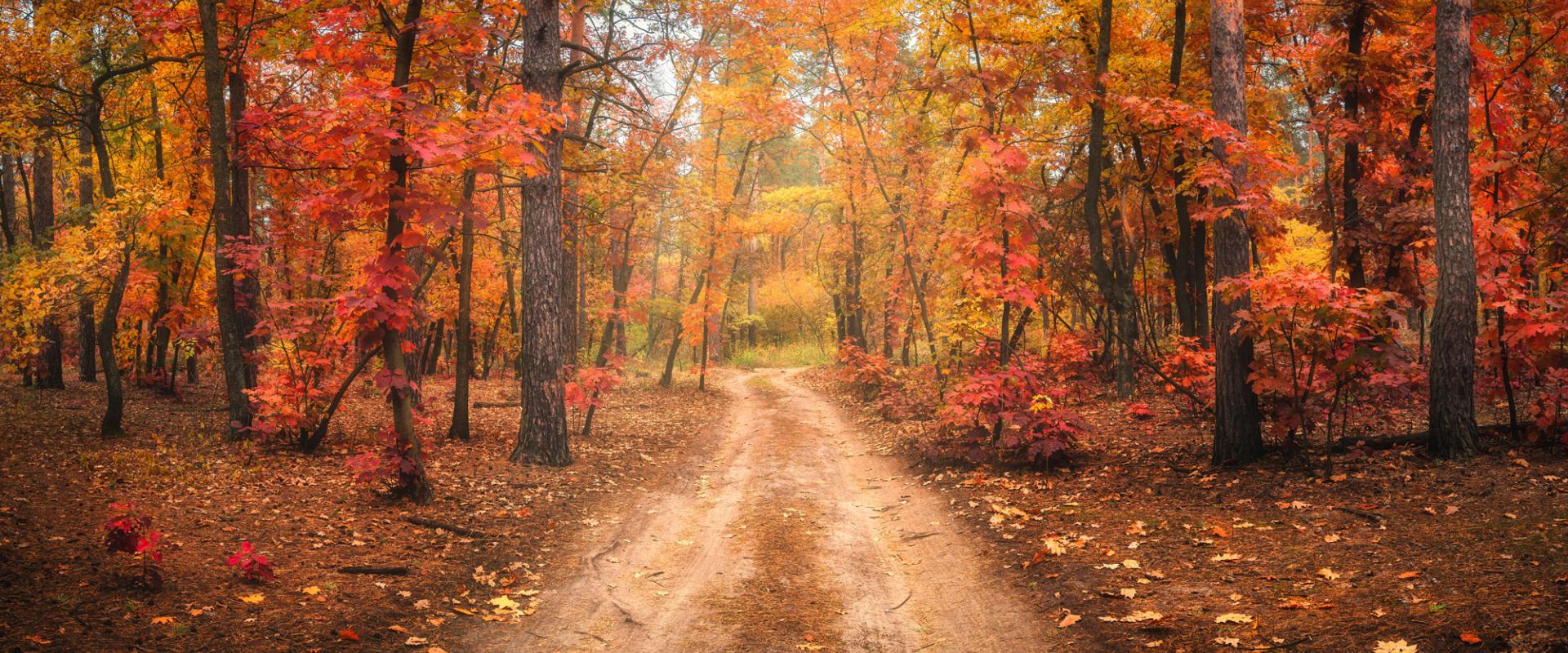 Home | Dominion Partners