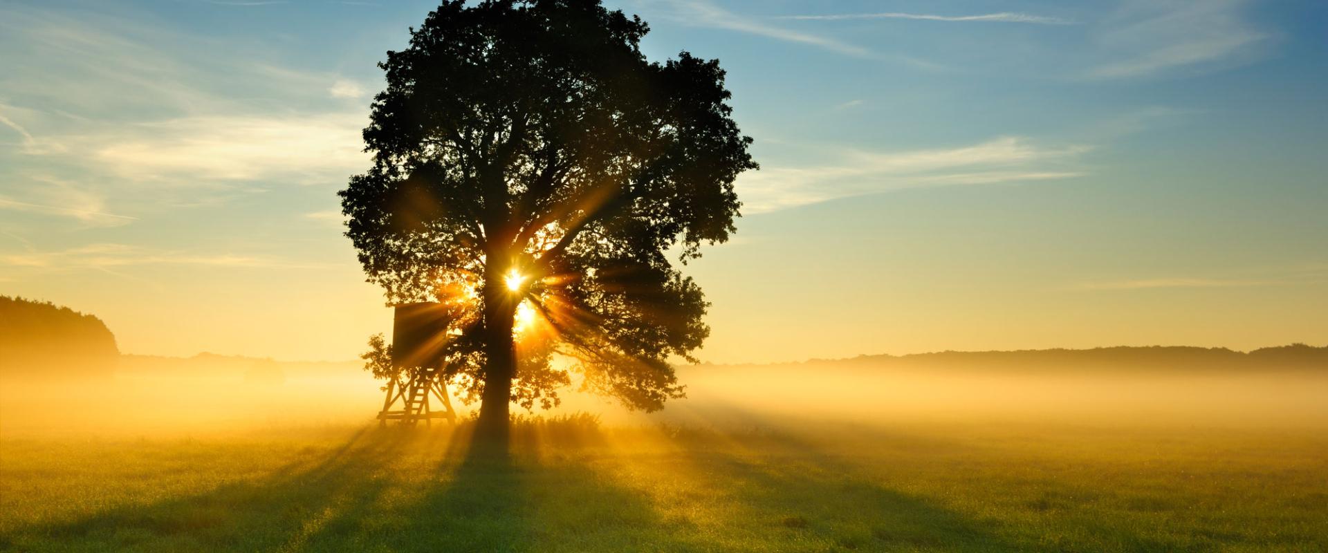 Home | Dominion Partners