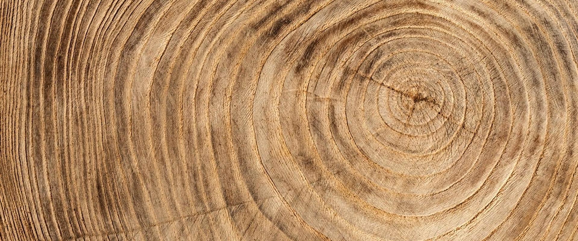 Home | Dominion Partners